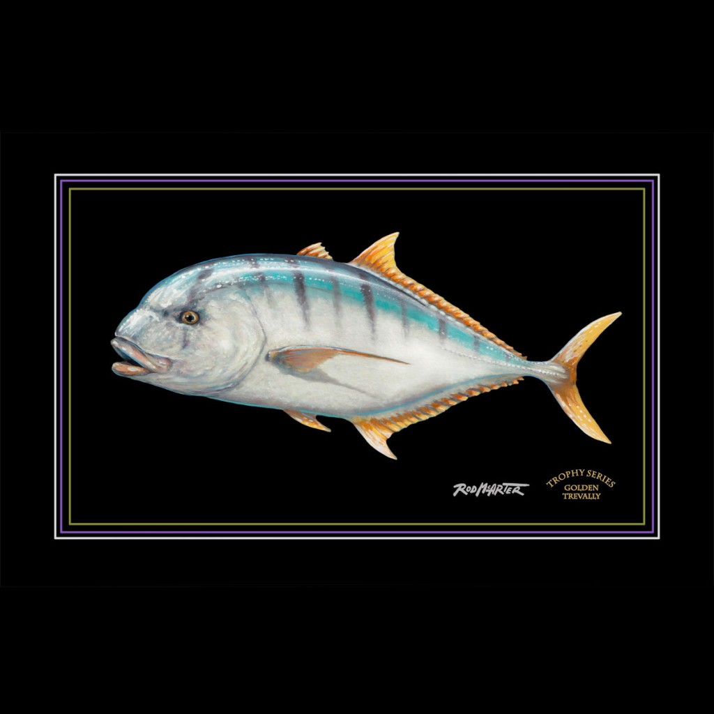 Golden Trevally | Fish Art Prints by Rod McArter
