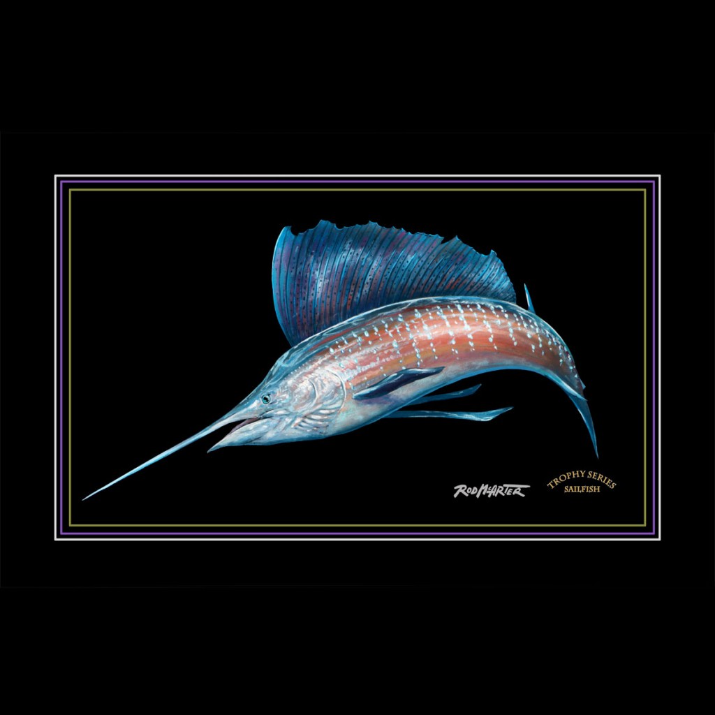 Sailfish | Fish Art Prints by Rod McArter